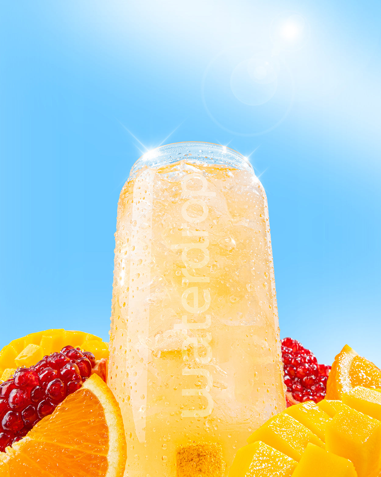 PARADISE FUSION 12-Pack: Order now | waterdrop®